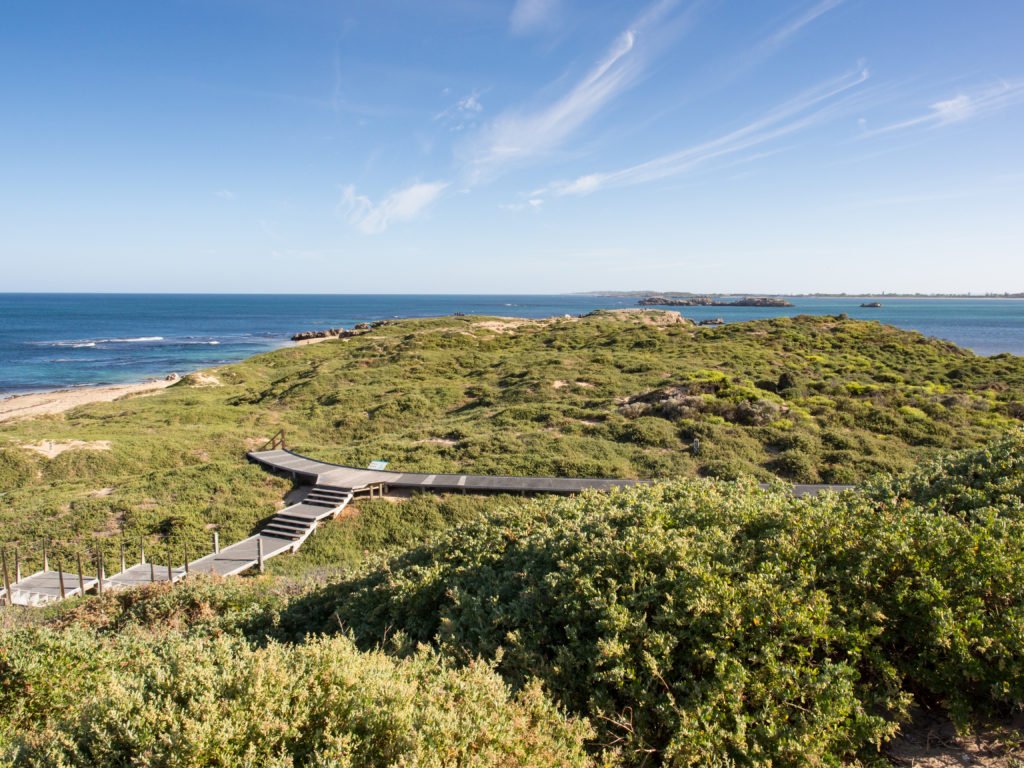 Penguin Island- Western Australia – Love Your Travels