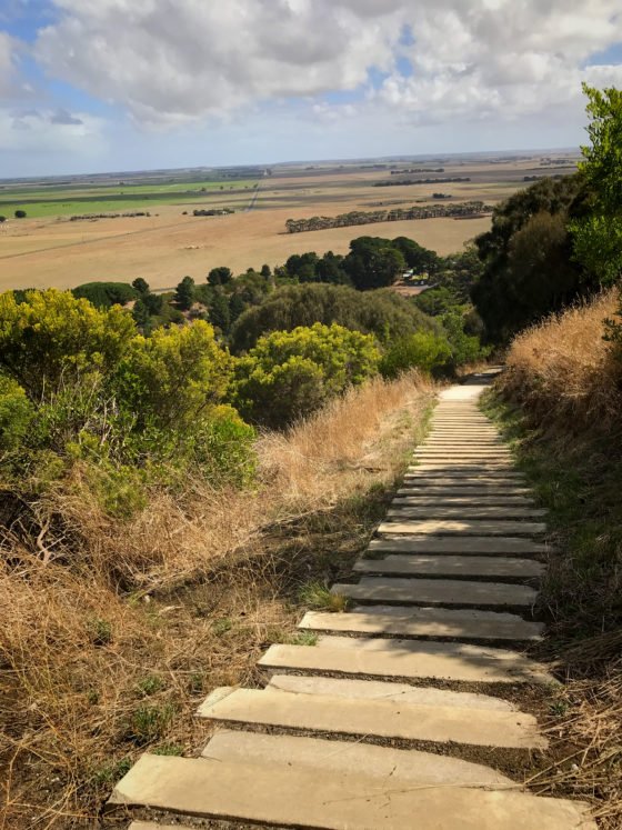 All The Facts Of Mount Schank – Love Your Travels