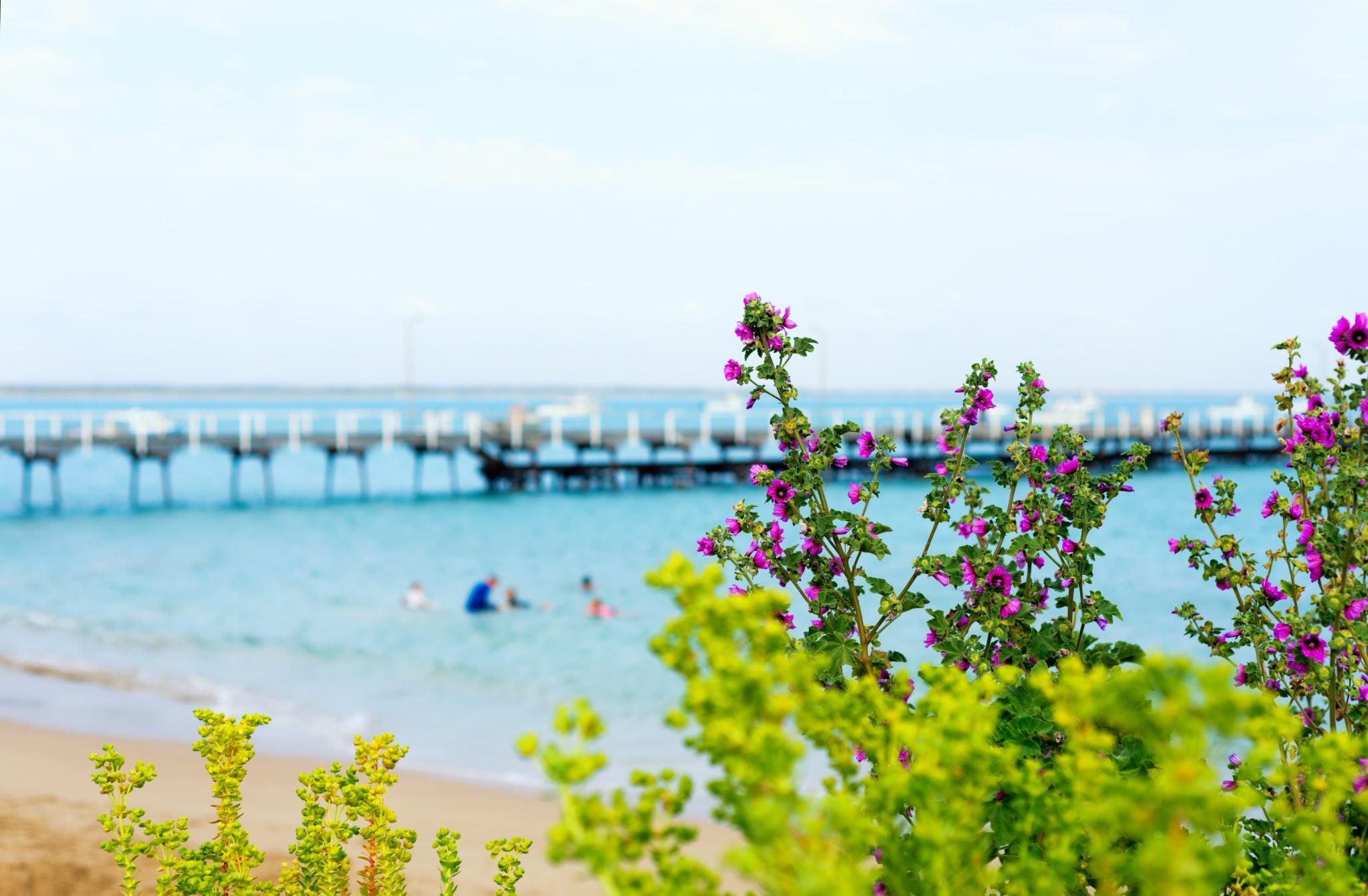 Beachport, South Australia – A Relaxing Holiday Destination